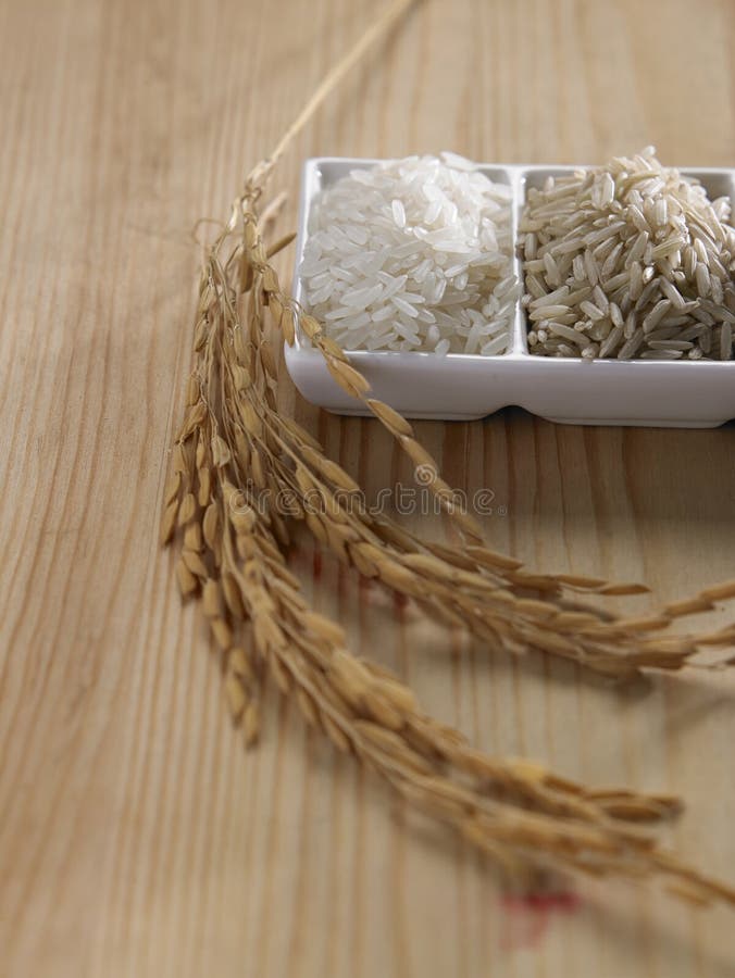 Rice varieties stock photo. Image of harvest, closeup - 48625498