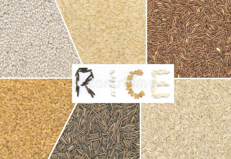 170+ Rice variety Free Stock Photos - StockFreeImages