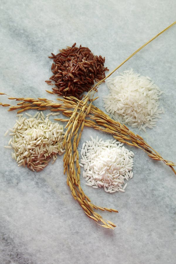 Rice variety stock image. Image of uncooked, jasmine - 48627891