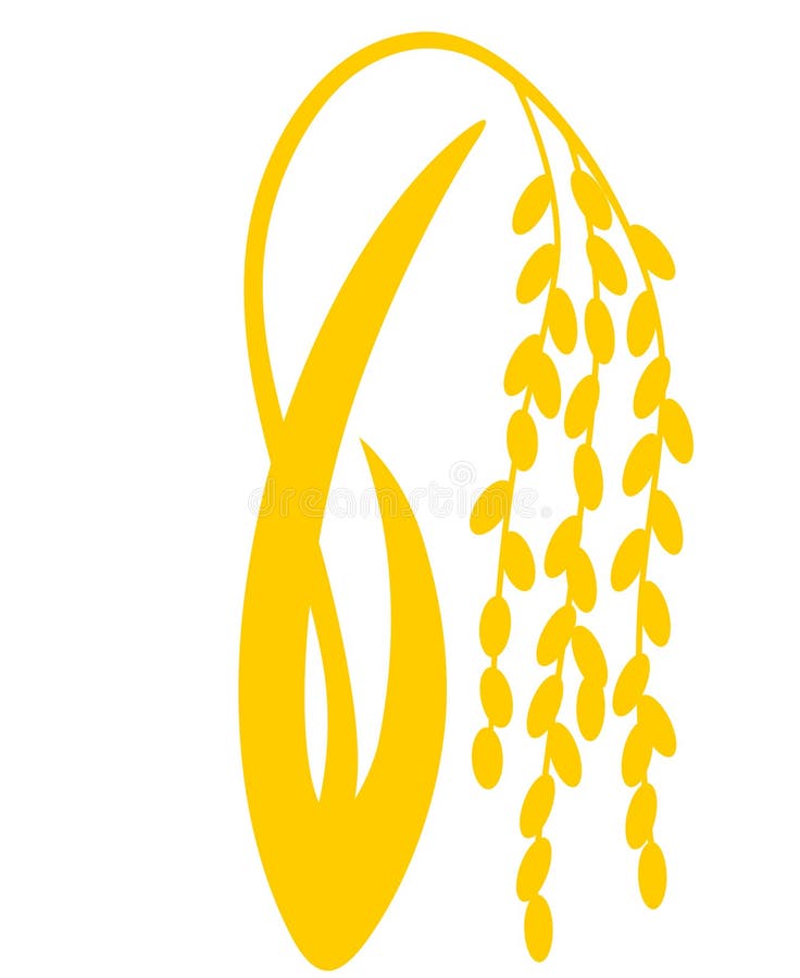 Wheat Ears or Rice Icons Set. Agricultural Symbols on White Background ...