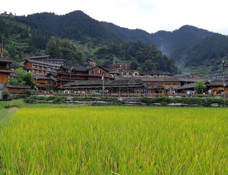 Rice, Village , History, Heritage , Mountain Editorial Image - Image of ...