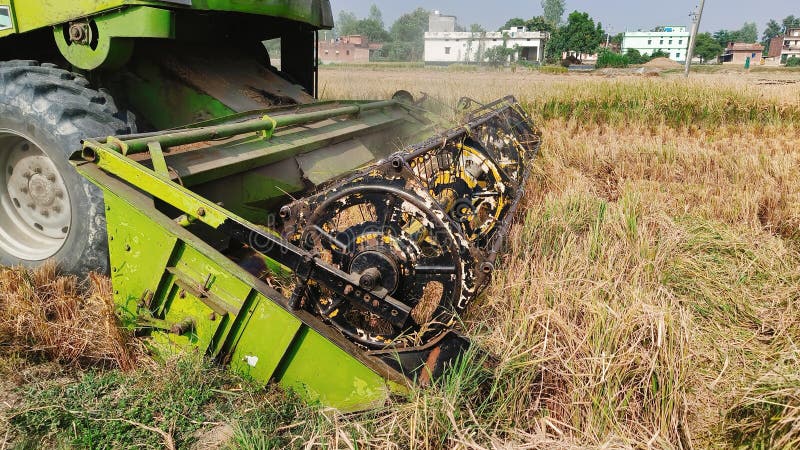 Rice Wheat Harvesting Machine Cutting Crops Stock Image - Image of ...