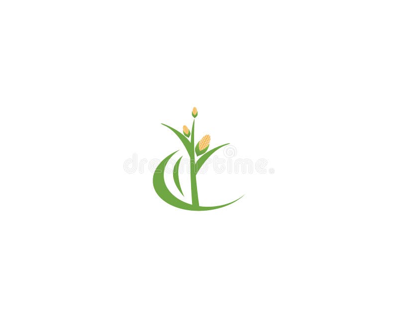 Corn Icon Sign Logo Design Template Stock Vector - Illustration of ...