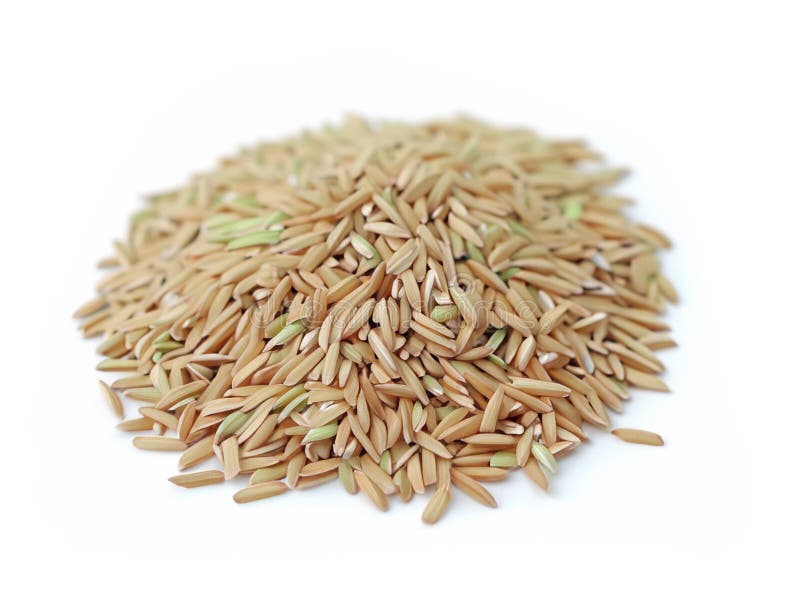 Rice on white background stock photo. Image of food - 316741770