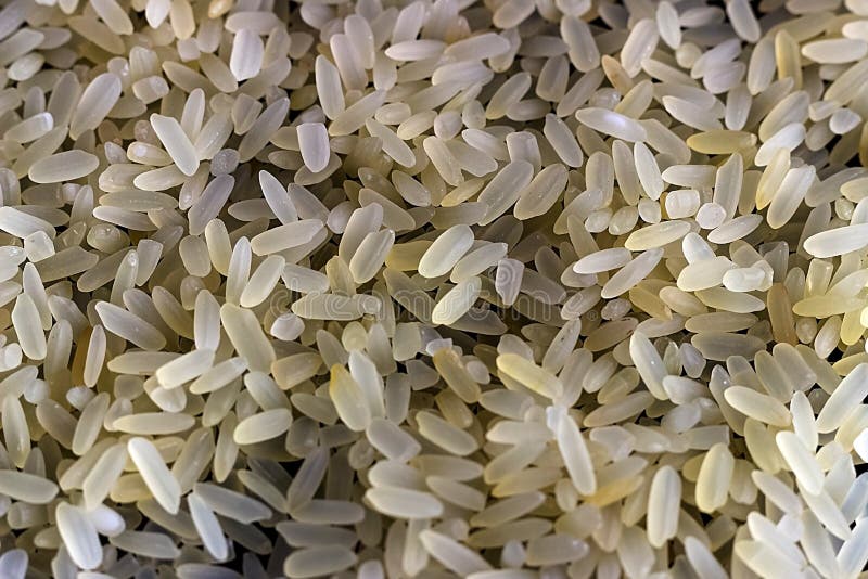 Rice white parboiled stock image. Image of nutrition - 82148785