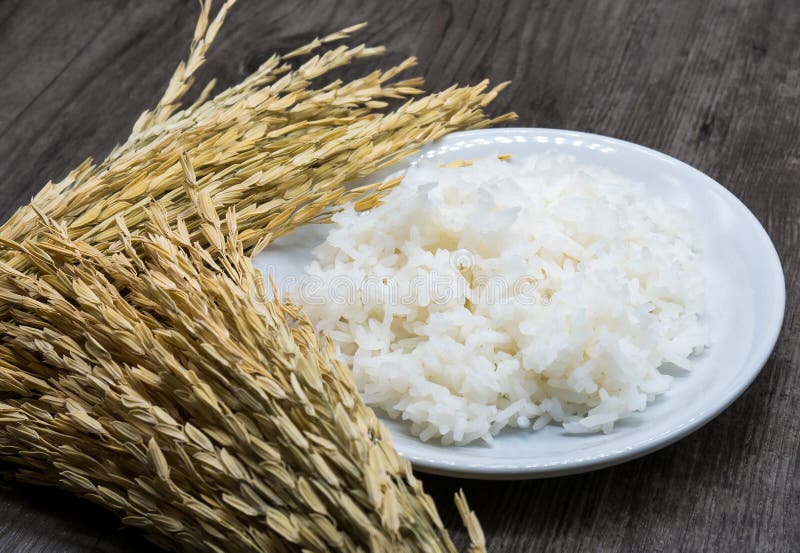 Rice in White Plate on Wooden Table Stock Photo - Image of culture ...
