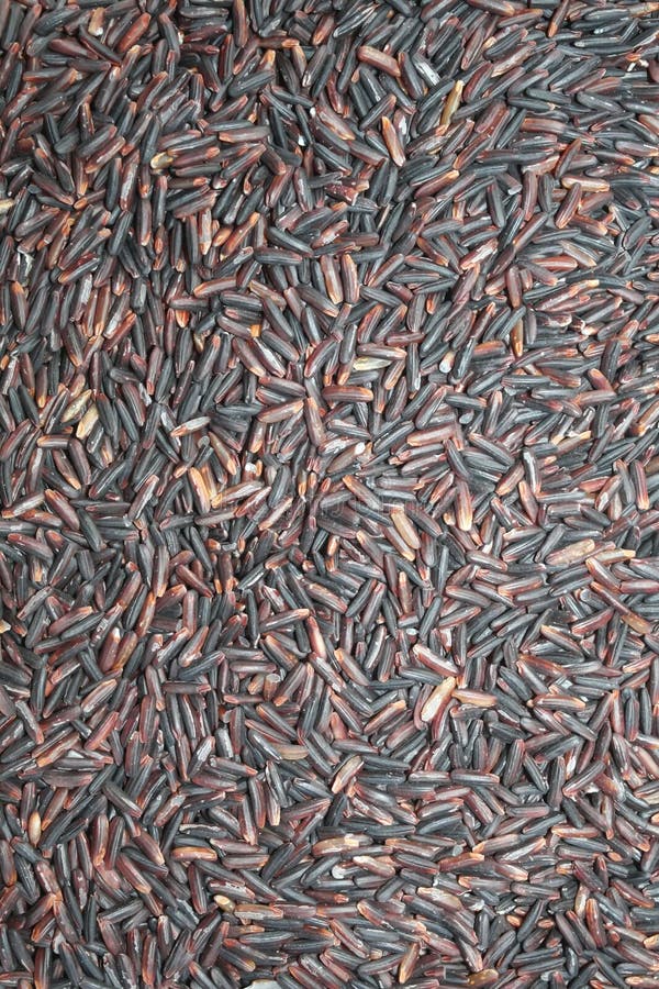 RiceBerry stock image. Image of background, health, carbohydrate - 79497601