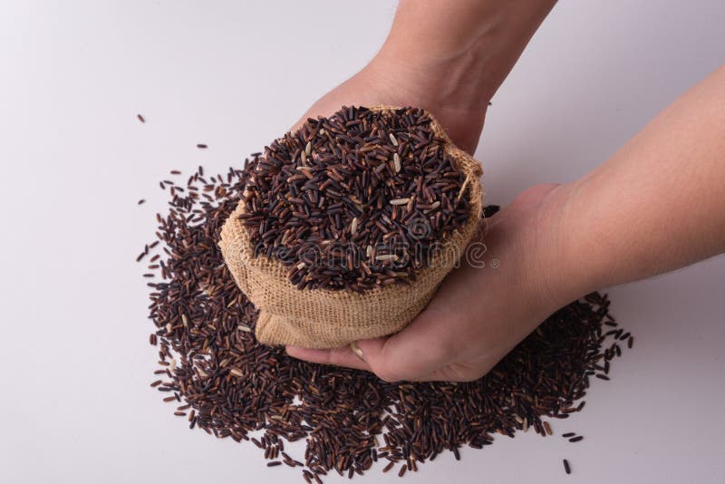 Riceberry Rice in Hands Holding, Top View Stock Photo - Image of food ...