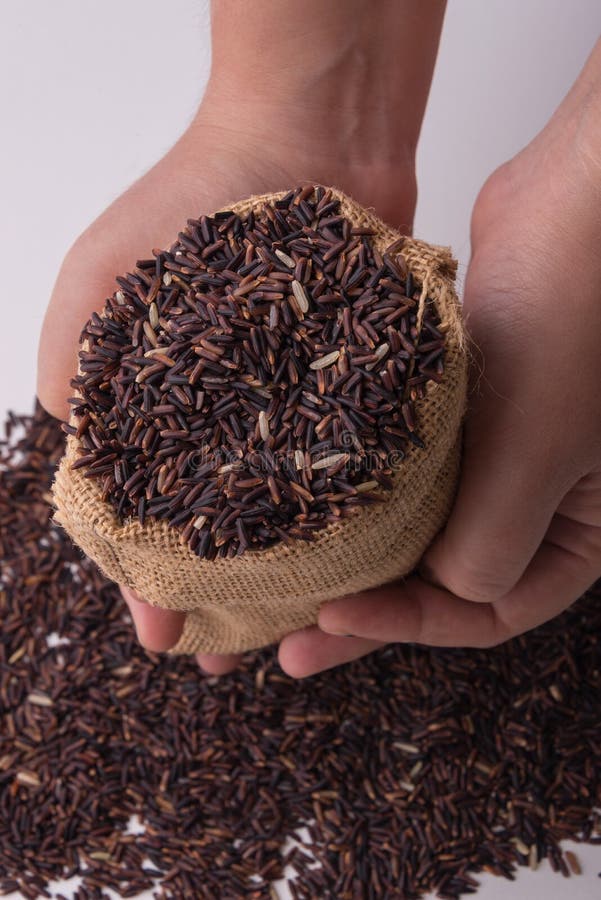 Riceberry Rice in Hands Holding Stock Image - Image of healthy, nature ...