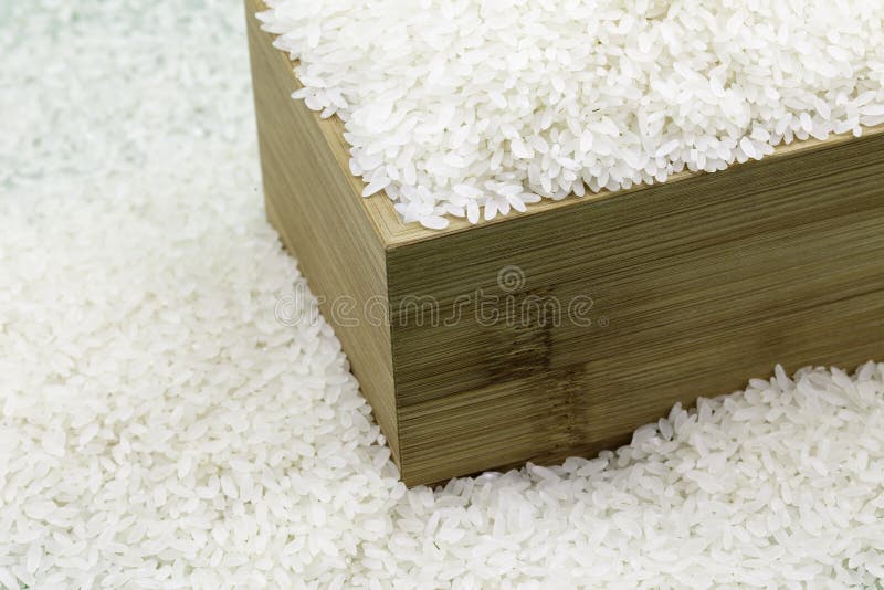 Rice stock photo. Image of farm, abundance, spilling - 29772256