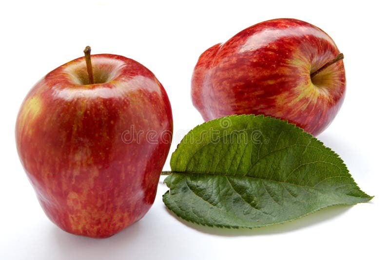 Rich apple crop stock photo. Image of colour, healthcare - 1136786