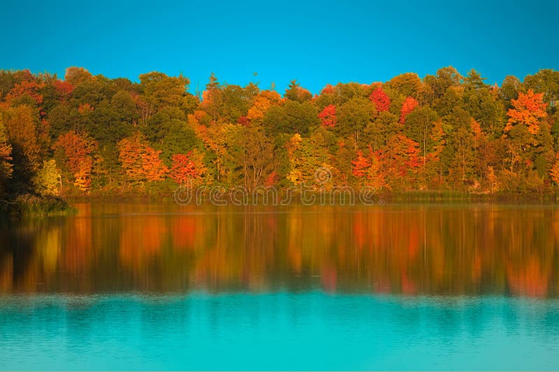 Rich Autumn Colors stock photo. Image of grow, greenish - 3033476