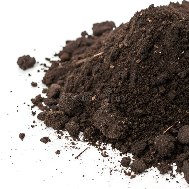 Rich Black Soil Texture Isolated on White Background Stock Illustration ...