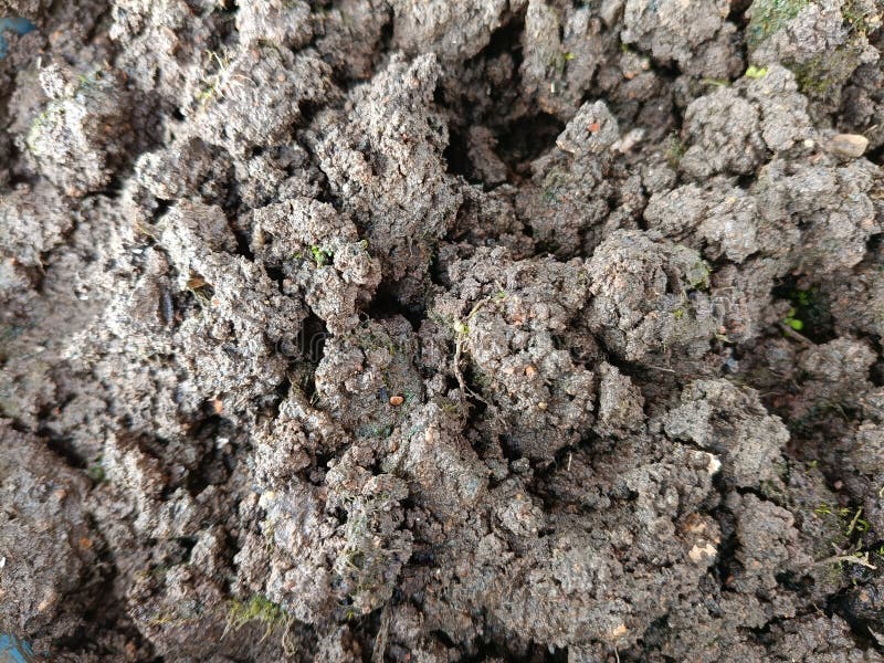 Rich, Clumpy Garden Soil Texture Stock Photo - Image of earth ...