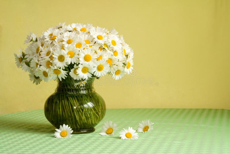 Daisy bouquet stock image. Image of daisy, bloom, flora - 2657357