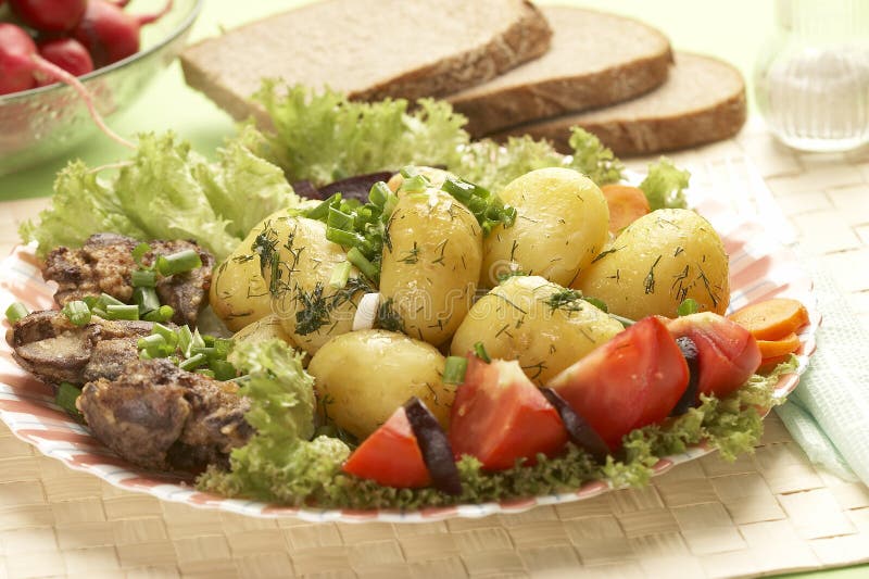 Rich dinner stock photo. Image of cooked, copious, lettuce - 1309714