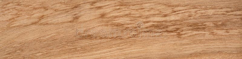 Rich Flamed Eucalyptus Veneer with Dynamic Wood Grain Patterns Stock ...