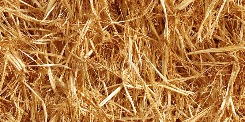 Rich, Golden Straw Texture Exhibits a Seamless Repeat Pattern Stock ...