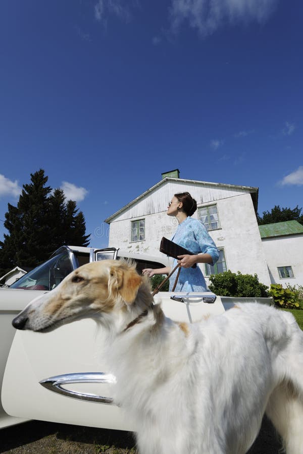 Rich lady with large dog stock photo. Image of arrogance - 10834988