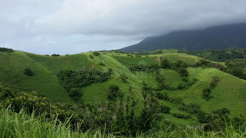 Rich meadows stock photo. Image of philippines, green - 96668330