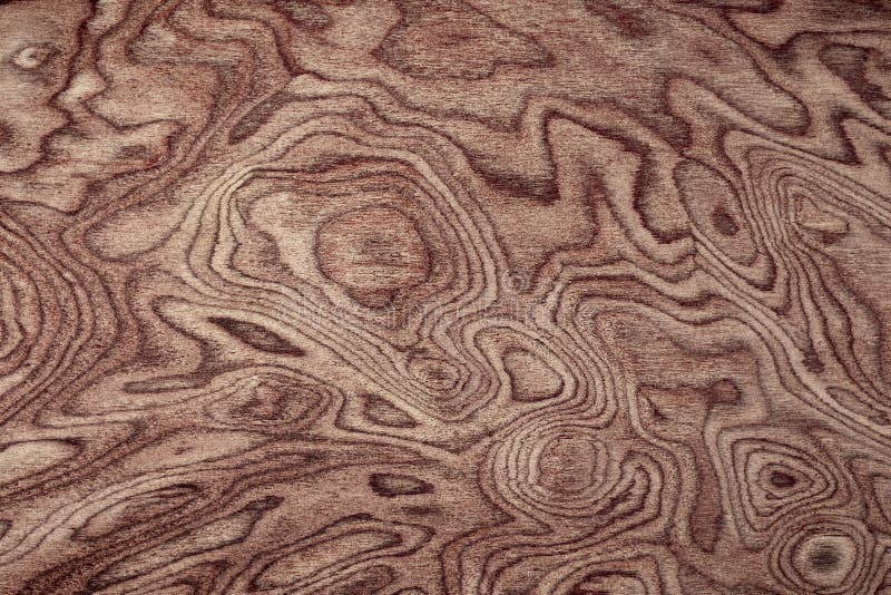 Rich wood pattern stock photo. Image of lines, black - 67266436