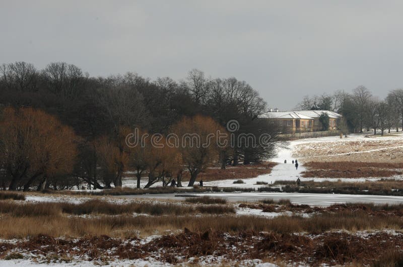 Richmond park in the snow stock image. Image of winter - 49757059