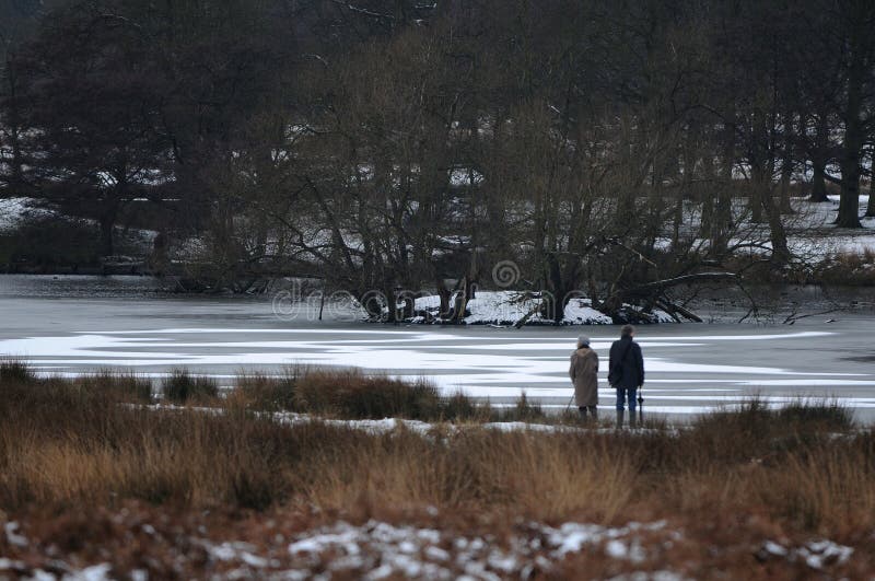 Richmond park in the snow stock image. Image of woods - 49757199