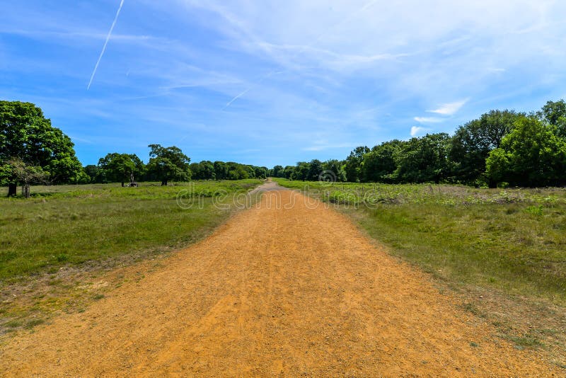 Richmond Park in the Summer - London, UK Stock Image - Image of field ...