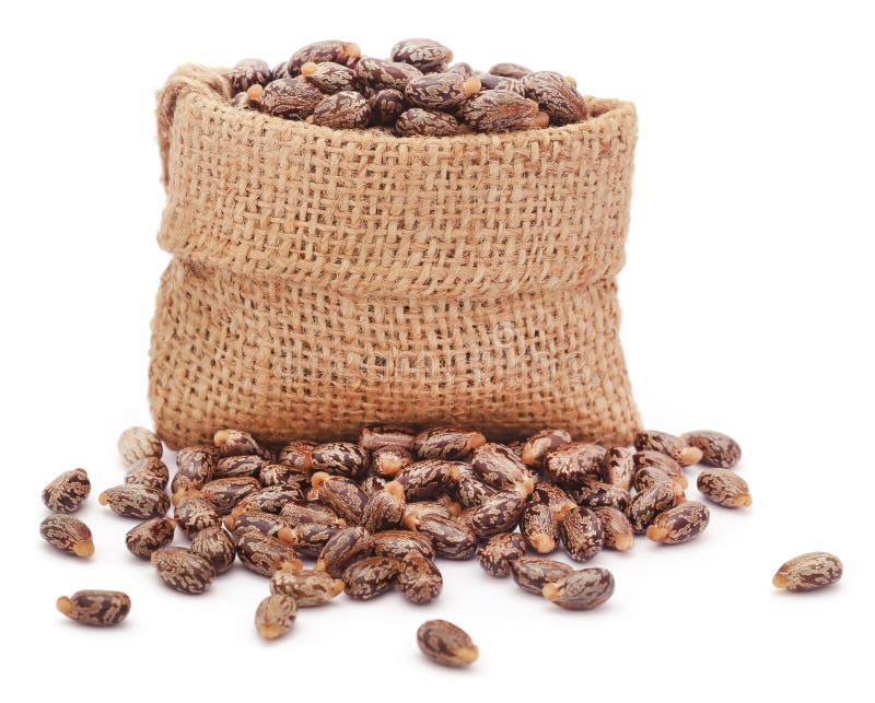 Ricini in sacco della iuta fotografia stock. Immagine di pianta - 67959512