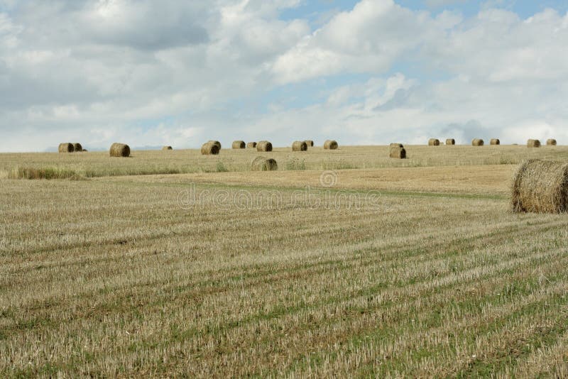 Rick in Pyrenees stock photo. Image of nature, france - 11260708