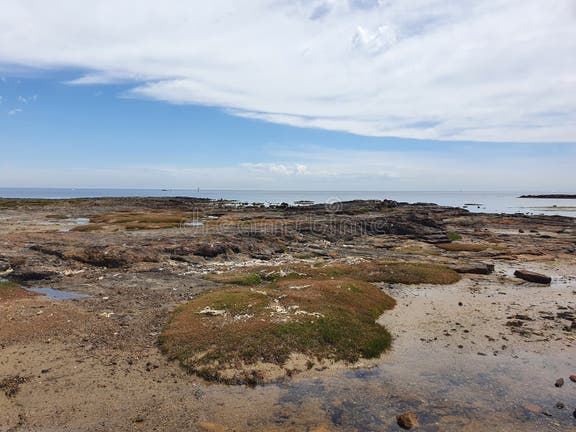 Ricketts Point Marine Sanctuary Stock Photo - Image of hill, beach ...