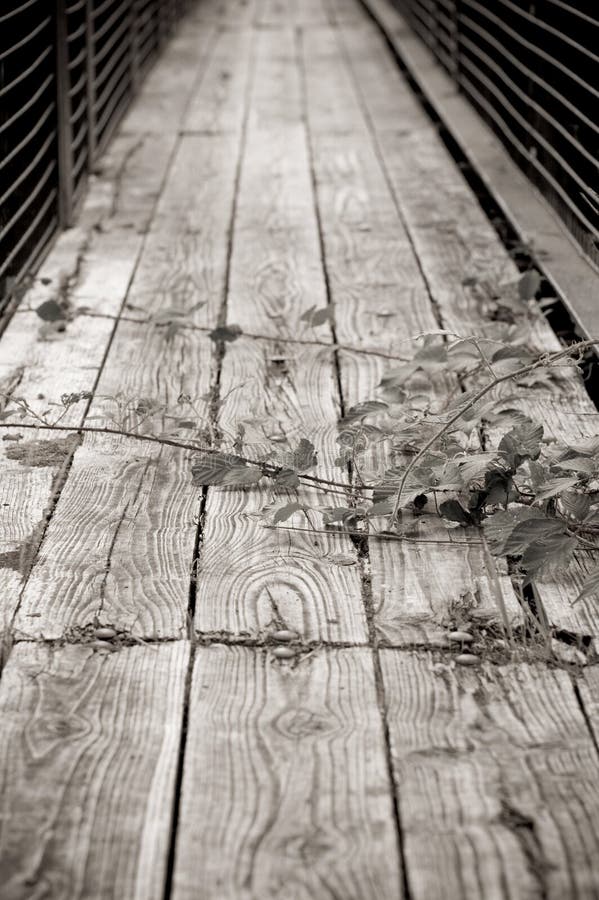 Rickety bridge stock image. Image of planks, fall, weeds - 10932317