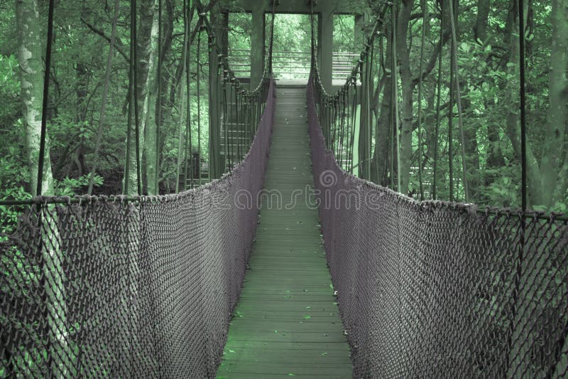 Rickety Rope Bridge Stock Photos - Free & Royalty-Free Stock Photos ...
