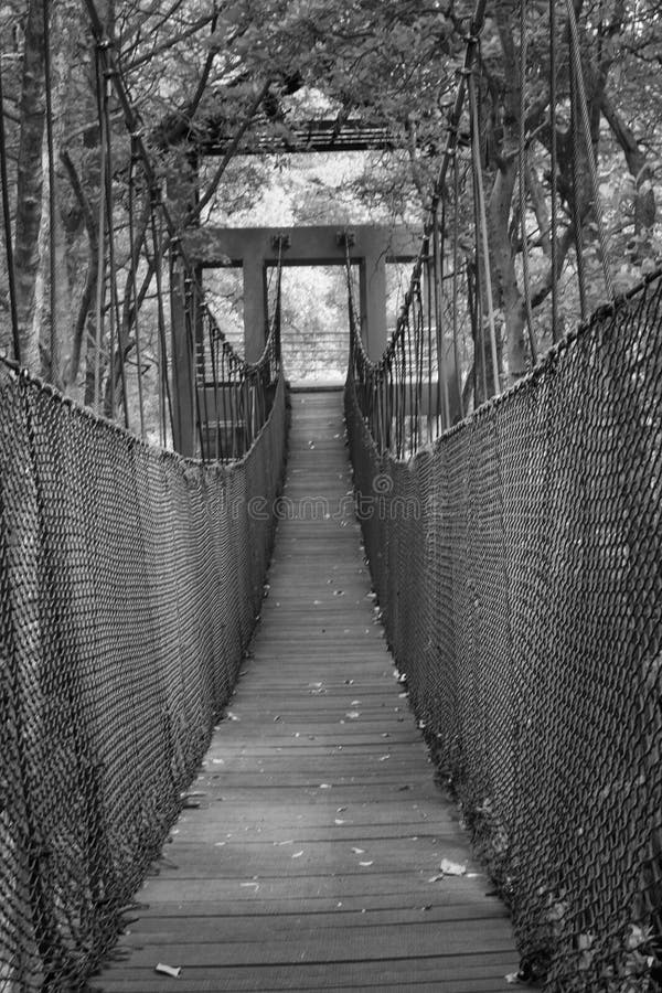 Rickety Rope Bridge Stock Photos - Free & Royalty-Free Stock Photos ...