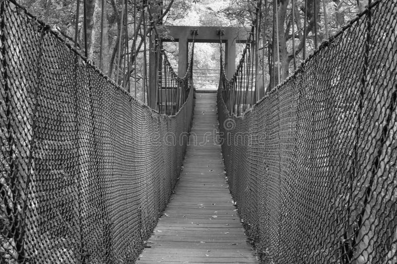 Rickety Rope Bridge Stock Photos - Free & Royalty-Free Stock Photos ...