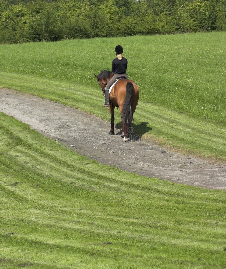 Ride stock photo. Image of farming, colour, forest, equestrian - 1028600