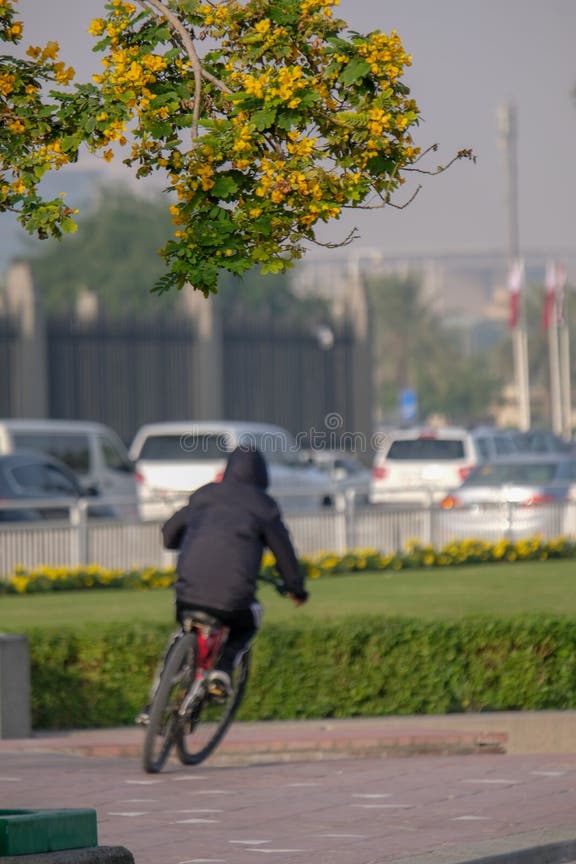 Ride stock photo. Image of road, standstill, flower - 139991562
