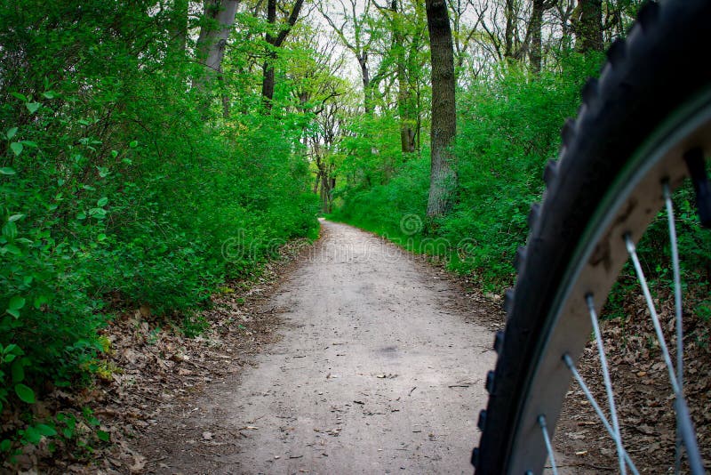 Ride a Bike in Parc on Spring Time Stock Photo - Image of cycling, bike ...