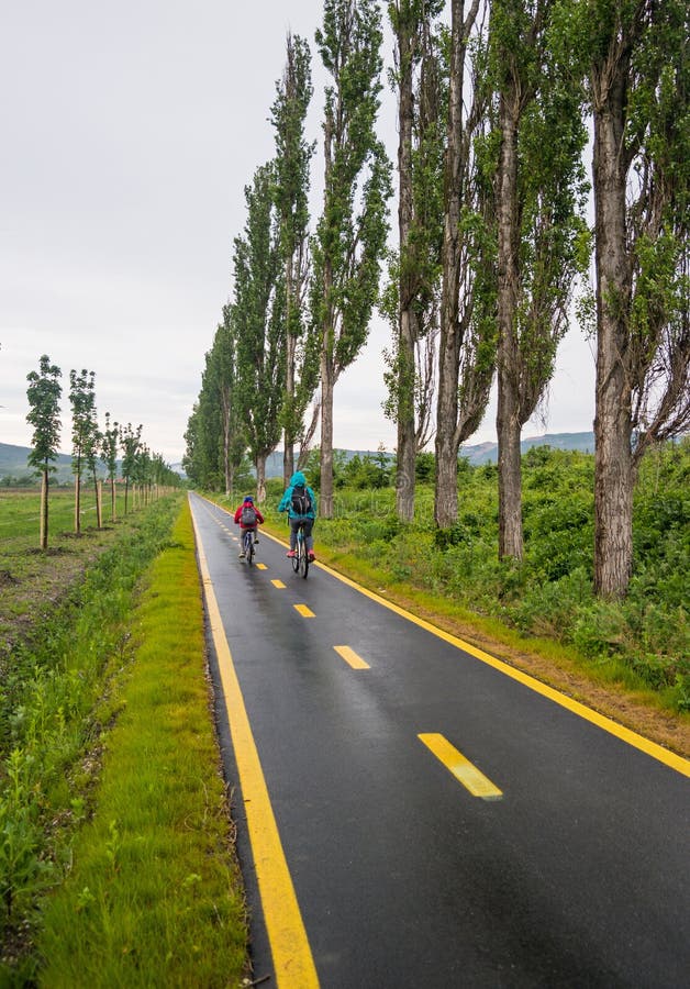 Ride in the cycleway stock photo. Image of cyclists, bikes - 72338148
