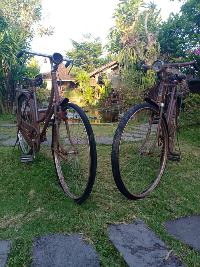 Ride with ontel stock photo. Image of fashion, classic - 195498426