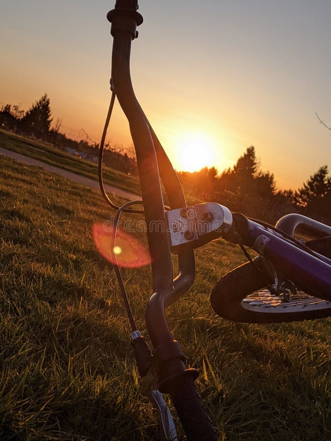 Ride into the sunset stock photo. Image of tree, vehicle - 185828078