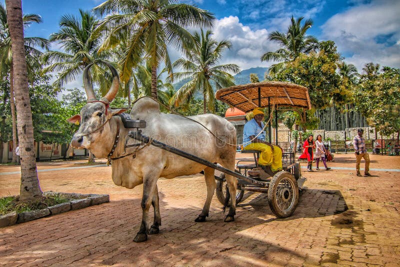 The ride editorial photo. Image of traditional, india - 132434371