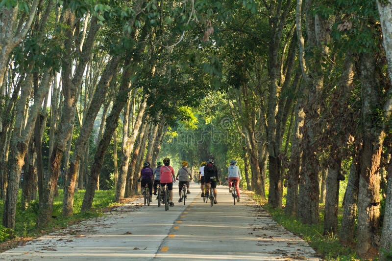 Cycling on the way stock photo. Image of exercise, incredible - 59961972