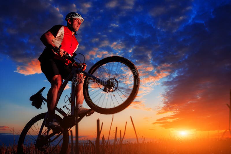 Rider in Action at Freestyle Mountain Bike Session Stock Image - Image ...
