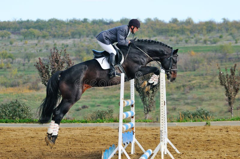 Horse Jumping at Equestrian Eventing Show Editorial Image - Image of ...