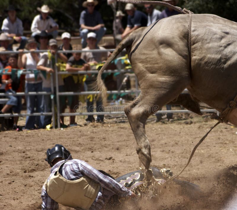 Rider Down stock image. Image of rodeo, dirt, rider, helmet - 1206125