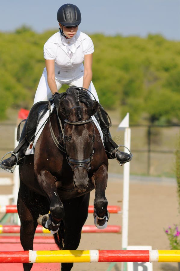Rider in the jumping show stock image. Image of show - 10725587