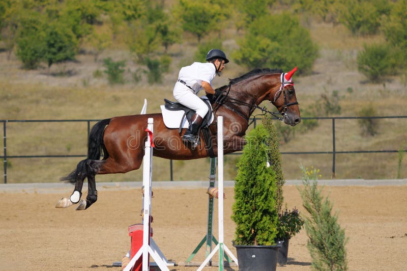 Rider in the jumping show stock image. Image of champion - 10974929