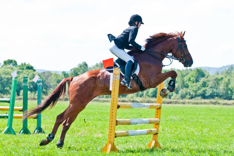 The Rider on the Red Show Jumper Horse Overcome High Obstacles in the ...