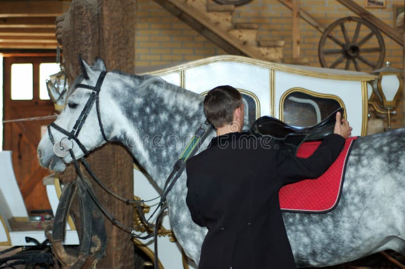 167 Belly Ride Stock Photos - Free & Royalty-Free Stock Photos from ...